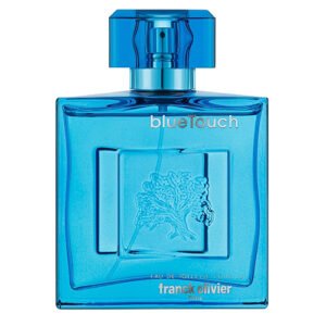 Franck Olivier Blue Touch For Men (Acqua Di Giò Twist) 100ml | Perfume ...