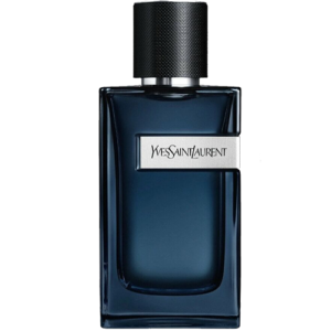 Home | Perfume Gyaan